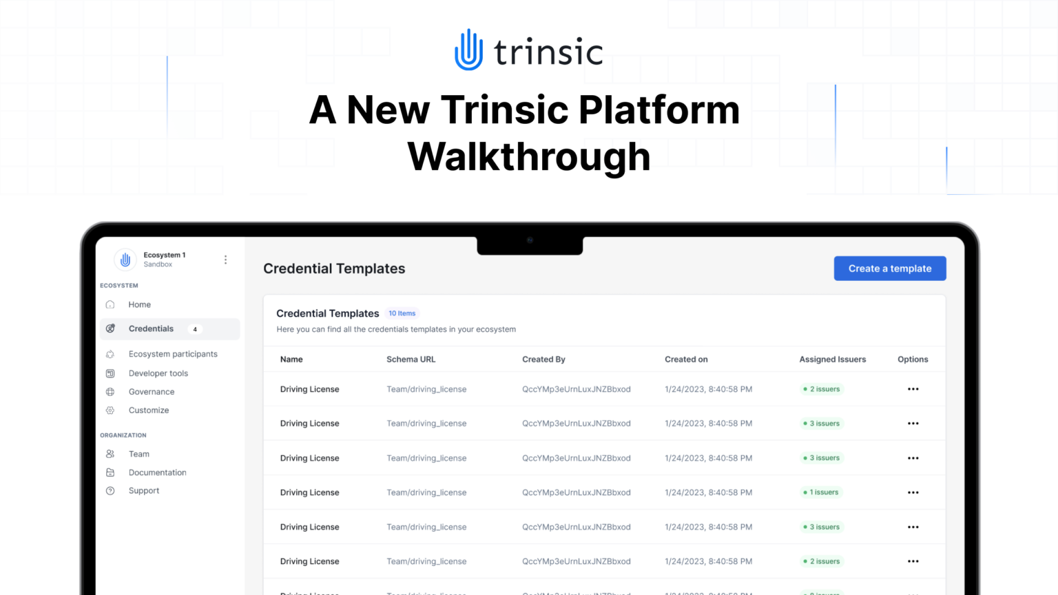A New Trinsic Platform Walkthrough - Trinsic
