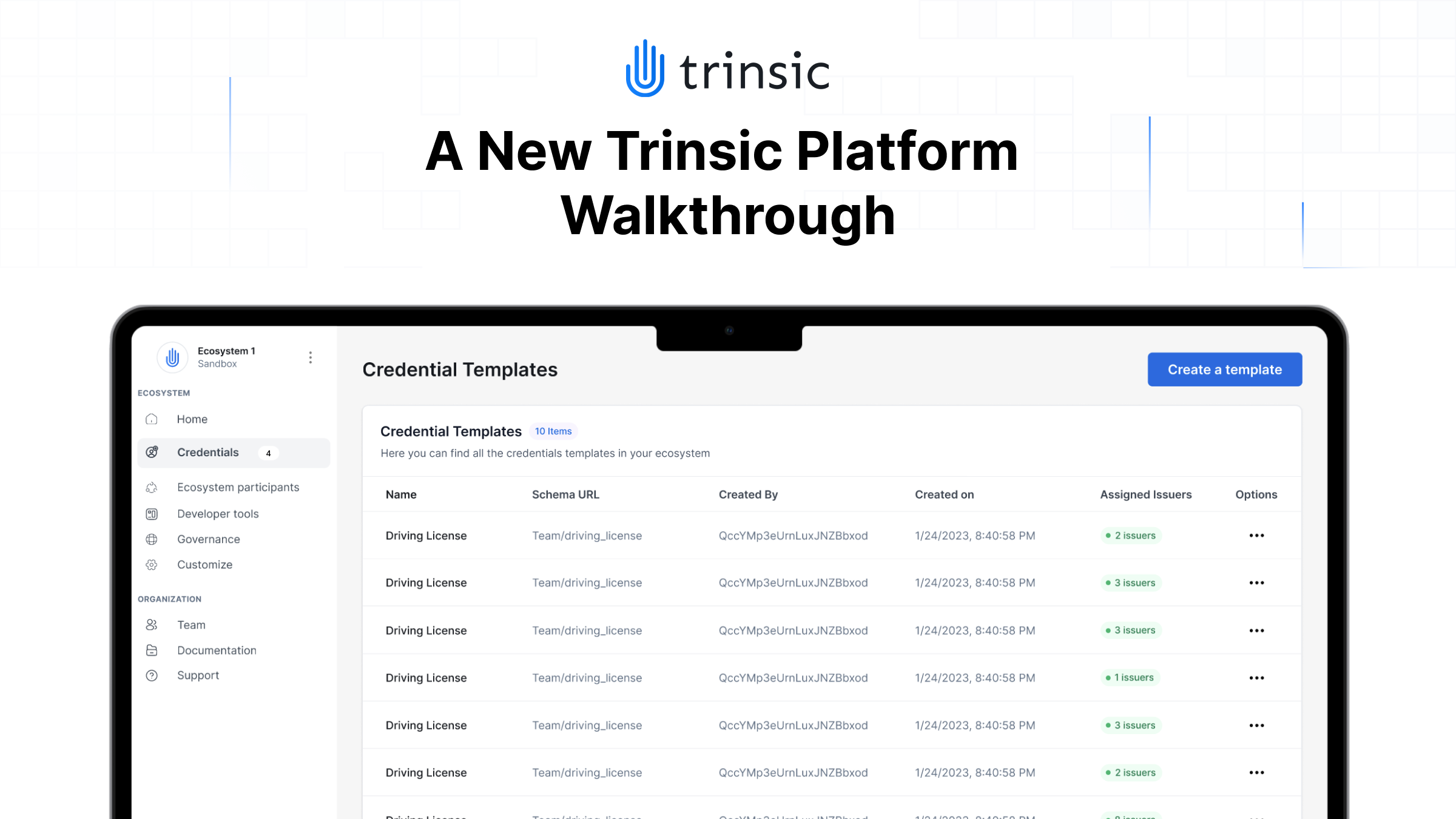 A New Trinsic Platform Walkthrough - Trinsic